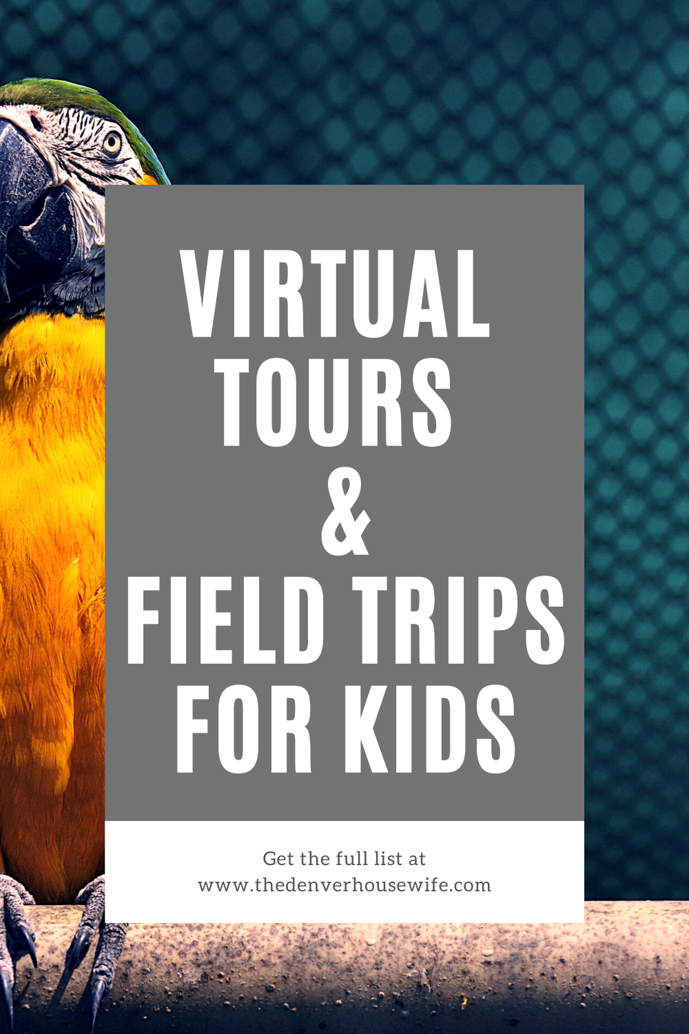 Field Trips and Virtual Tours For Kids » The Denver Housewife